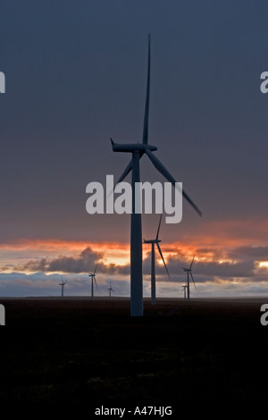 Wind turbines or wind power generators at sunset in the evening Stock ...