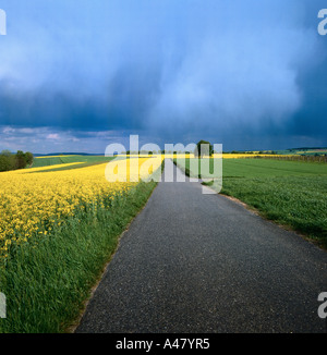 Road between Fields Stock Photo - Alamy