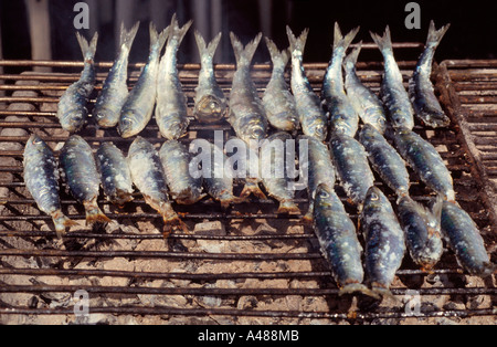 Pilchards on barbecue Stock Photo - Alamy