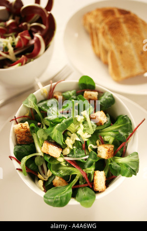 Songino salad Italy Stock Photo - Alamy