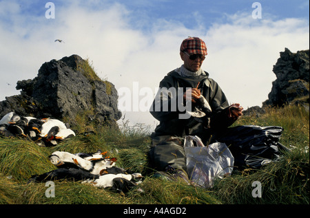 Puffin Hunting: Gudni Hijorleiffson guts some of the puffins he has ...