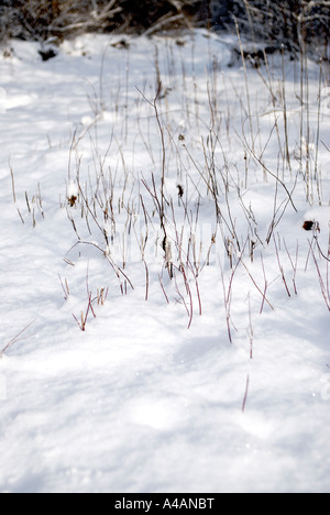Winter snow in Hinkley Park Medina Ohio Stock Photo - Alamy