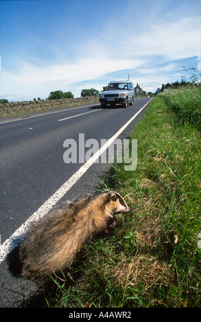 die accident badger road casualty dead die accident badger road ...