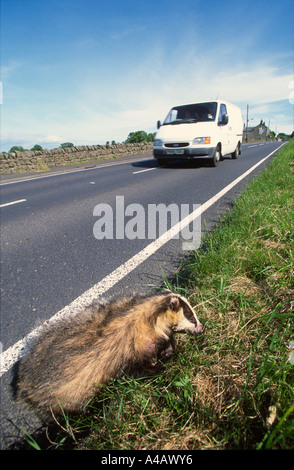 die accident badger road casualty dead die accident badger road ...