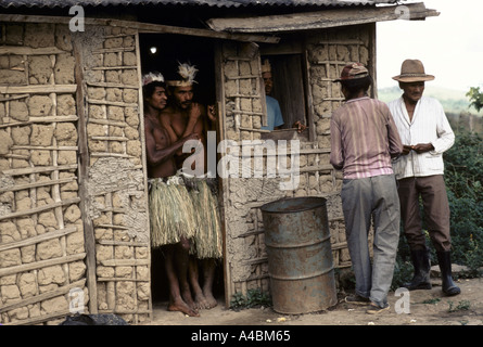 Indian from the Pataxó tribe with a feather headdress and protective ...