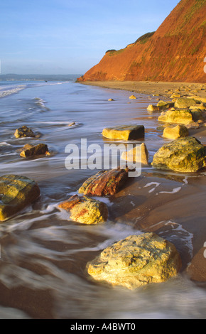 Golden sandy beach at Exmouth Devon England UK Stock Photo - Alamy