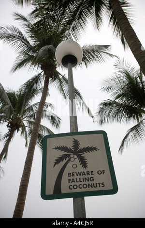 Beware Of Falling Coconuts Sign, Singapore Stock Photo - Alamy