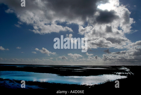 RSPB Freiston Shore nature reserve, The Wash, Lincolnshire, England ...