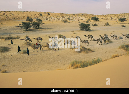 Salt Caravan in Great Sahara desert Mali Stock Photo - Alamy