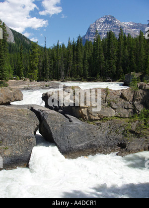 Natural Bridge Yoho Stock Photo - Alamy