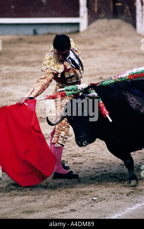 Bullfighting Matador muleta sword fighting bull impaled banderillas ...