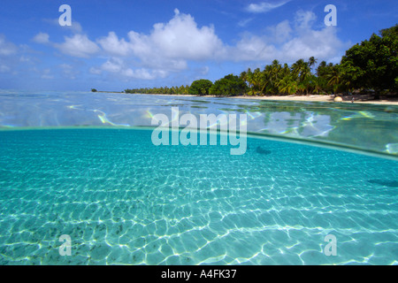 Over under image sandy bottom and trees at Majikin Island Namu atoll ...