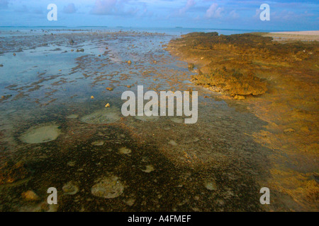 Uninhabited island Namu atoll Marshall Islands N Pacific Stock Photo ...