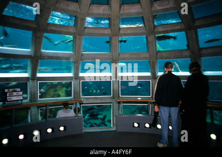 The Underwater Dome, Seattle Aquarium, Seattle, Washington, USA Stock ...