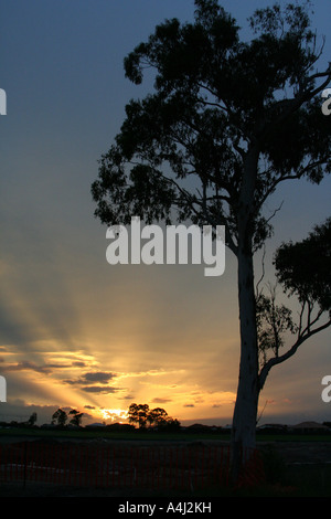 SPECTACULAR SUNSET OVER CALOUNDRA QUEENSLAND AUSTRALIA HORIZONTAL ...