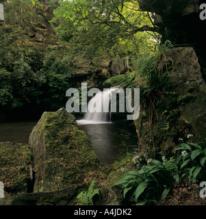 Thomason Foss waterfall North Yorkshire UK Stock Photo - Alamy