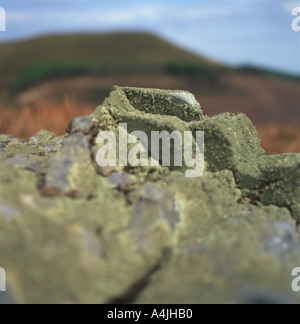 geological welsh europe european powys britain british rock geology ...