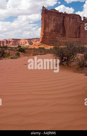 Tree and Tower of Babel, Arches National Park, Moab, Utah USA Stock ...