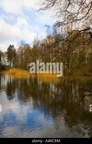 Redesmere Cheshire UK Stock Photo - Alamy