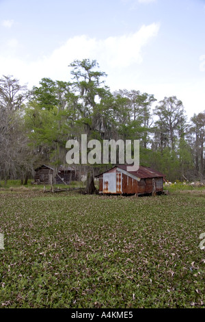 Swamp shacks in a bayou outside new Orleans Louisiana Stock Photo - Alamy