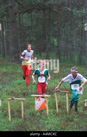 Orienteering. O-ringen, Sweden Stock Photo - Alamy