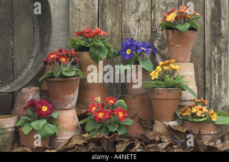 lhjgvog yrdx ouyg Stock Photo - Alamy