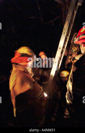 Firefighter trainees practice their skills with ladders Stock Photo - Alamy