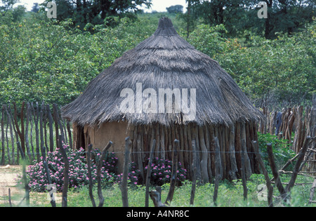 Typical hut or dwelling of Ovambo tribe people Ovamboland Namibia ...