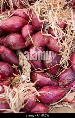 Market stall Cisternino Puglia Italy Stock Photo - Alamy