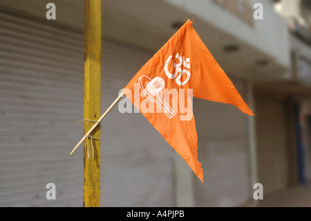 Flag depicting Hinduism, Flag printed with Shivling and Om, Saffron ...