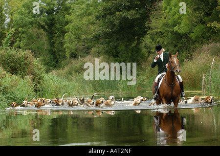 Hunting in Ireland Stock Photo - Alamy
