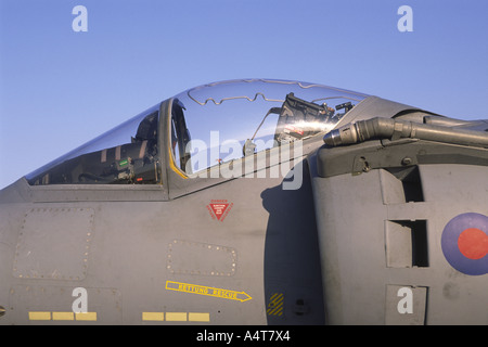 BAe Harrier GR7 Cockpit Canopy & Air Intake Stock Photo - Alamy