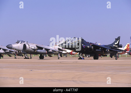 BAe Sea Harrier T8 jump jet trainer operated by the Royal Navy's Fleet ...