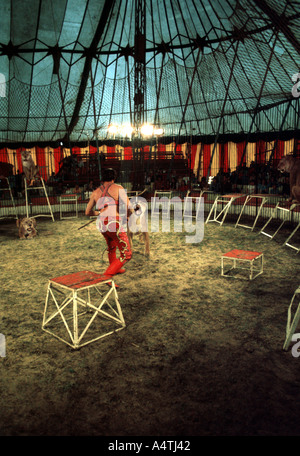 Lions and lion tamer in circus ring Stock Photo - Alamy