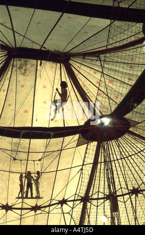 Trapeze artists in the circus Stock Photo: 3629651 - Alamy