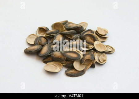 black kuaci pumpkin seed Asian snack Stock Photo - Alamy