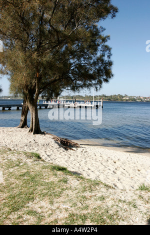 Point Walter on the Swan River Perth Western Australia Stock Photo - Alamy
