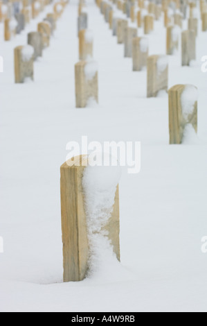Grave markers at Fort Snelling National Cemetery in St. Paul, Minnesota ...