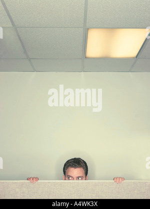 Businessman looks over the cubical wall at his coworkers in their ...