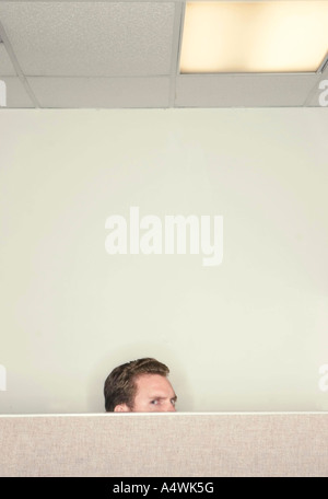 Businessman looks over the cubical wall at his coworkers in their ...