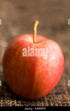 Single Red apple soft focus Stock Photo - Alamy