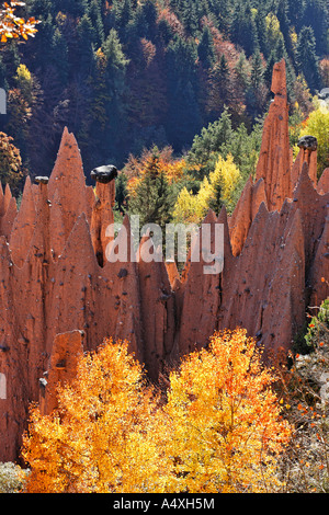 earth pillars in the forest, Italy, Suedtirol, Ritten Stock Photo - Alamy