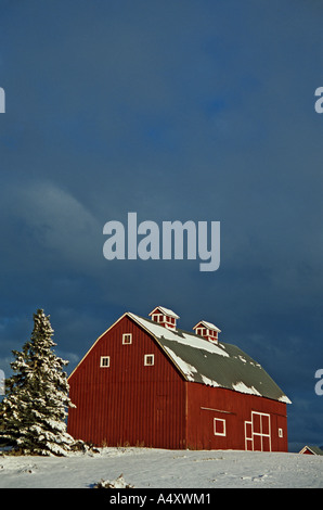 USA, Idaho, Genesee. Red Barn and green wheat fields. (Editorial Use ...