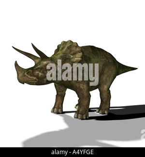 The Triceratops is called three-horn and about 9 m long and in the ...