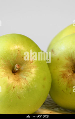 Ripe Bramley Apple Stock Photo - Alamy