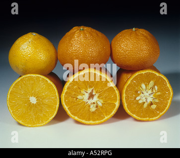 Whole & sectioned citrus hybrid fruit Mandora, country of origin Cyprus ...