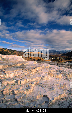 USA, Wyoming, Mammoth Hot Springs, Yellowstone National Park Stock ...