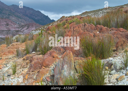 copper mine near Queenstown Tasmania Australia Stock Photo - Alamy