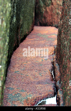 Algae cover rocks at low tide on Plumbago Beach, Red Cliff - Lake ...
