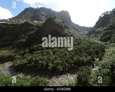 rank vegetation of Madeira, valley Stock Photo - Alamy